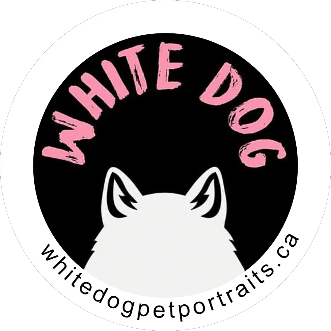 WORKSHOPS – White Dog Pet Portraits